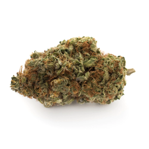 Platinum Kush Cannabis Seeds – Royal King Seeds - Feminized & Autoflowering Cannabis Seeds