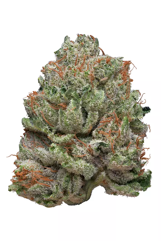 Platinum Wreck Cannabis Seeds – Royal King Seeds - Feminized & Autoflowering Cannabis Seeds