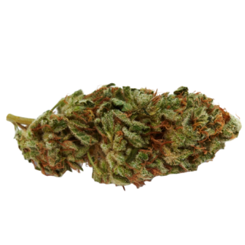 Power Kush Cannabis Seeds – Royal King Seeds - Feminized ...