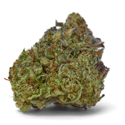 Pure OG Cannabis Seeds – Royal King Seeds - Feminized & Autoflowering ...