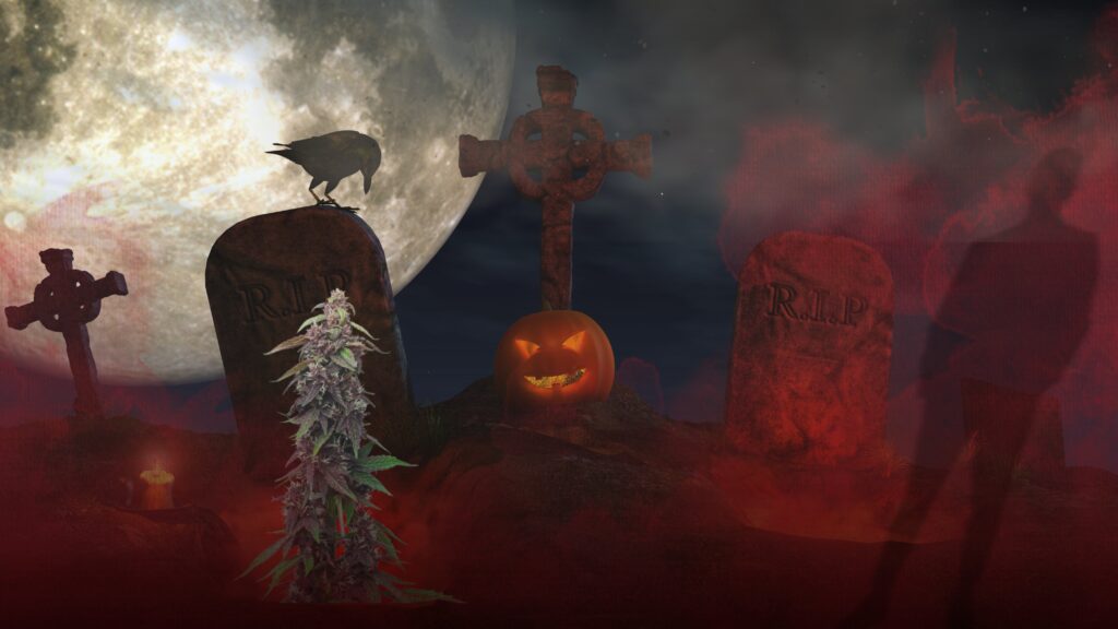 5 Best Cannabis Strains For Halloween – Royal King Seeds - Feminized ...