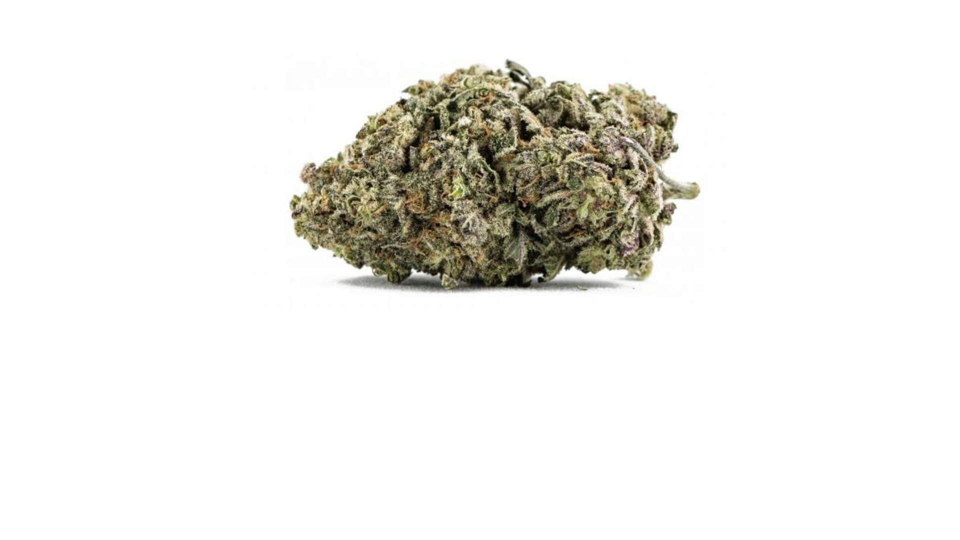 Blue Zombie Strain Cannabis Seeds – Royal King Seeds - Feminized ...