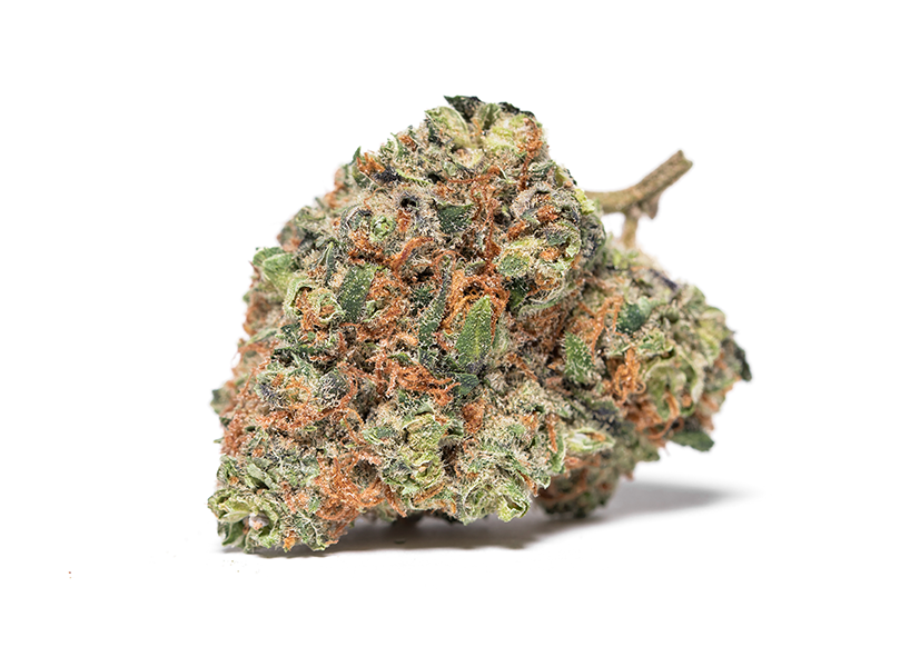 Bruce Banner #3 Strain Cannabis Seeds – Royal King Seeds - Feminized ...