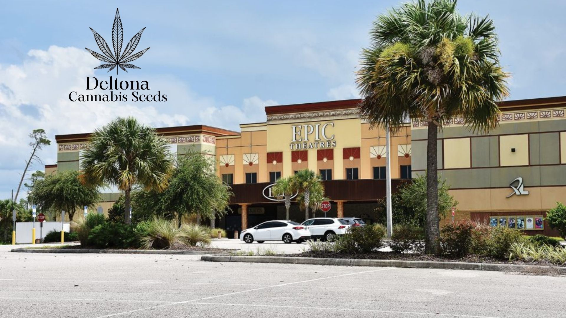 Buy Cannabis Seeds in Deltona, Florida – Royal King Seeds - Feminized ...