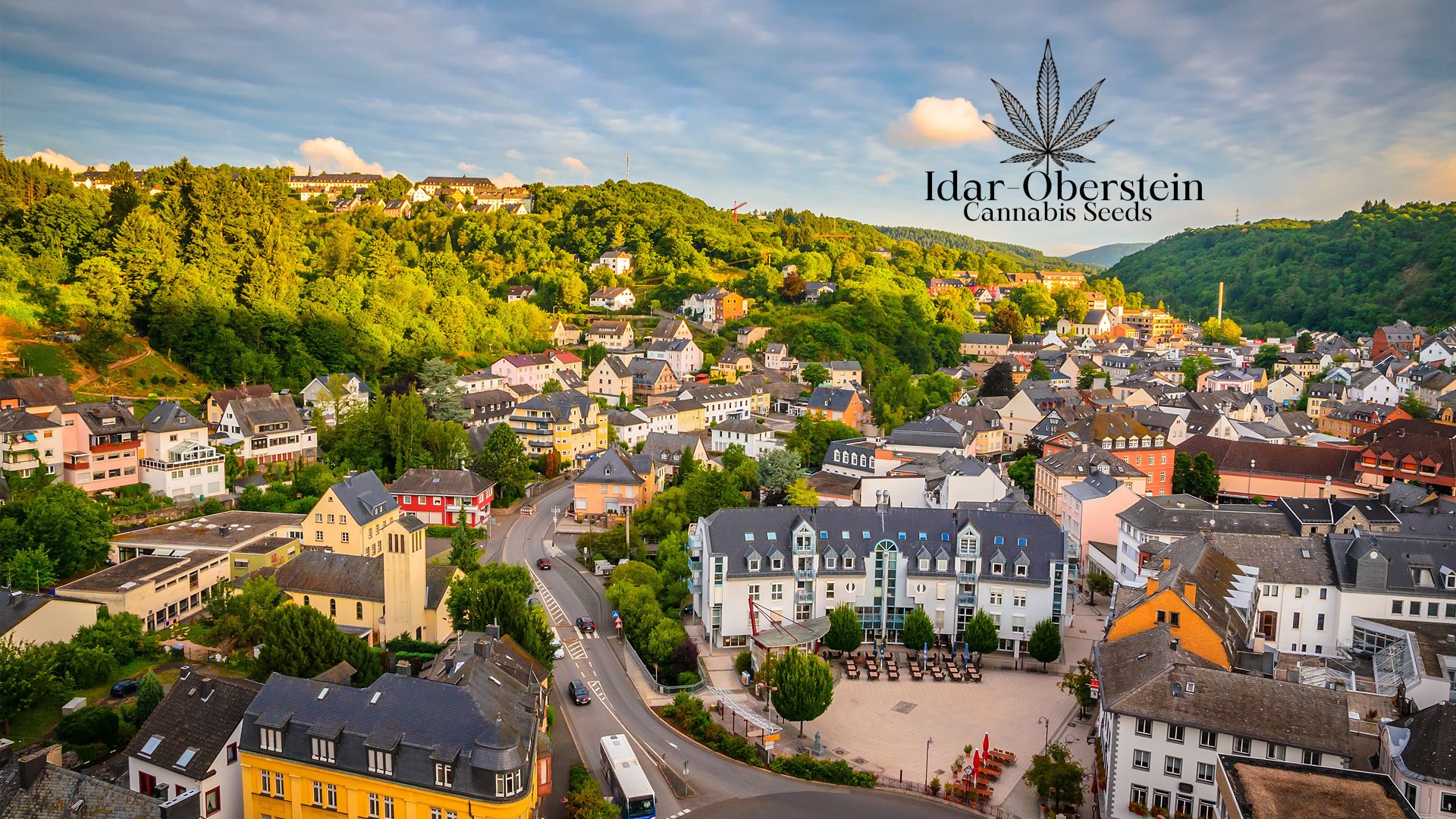 Buy Cannabis Seeds in Idar-Oberstein, Rhineland-Palatinate – Royal King ...