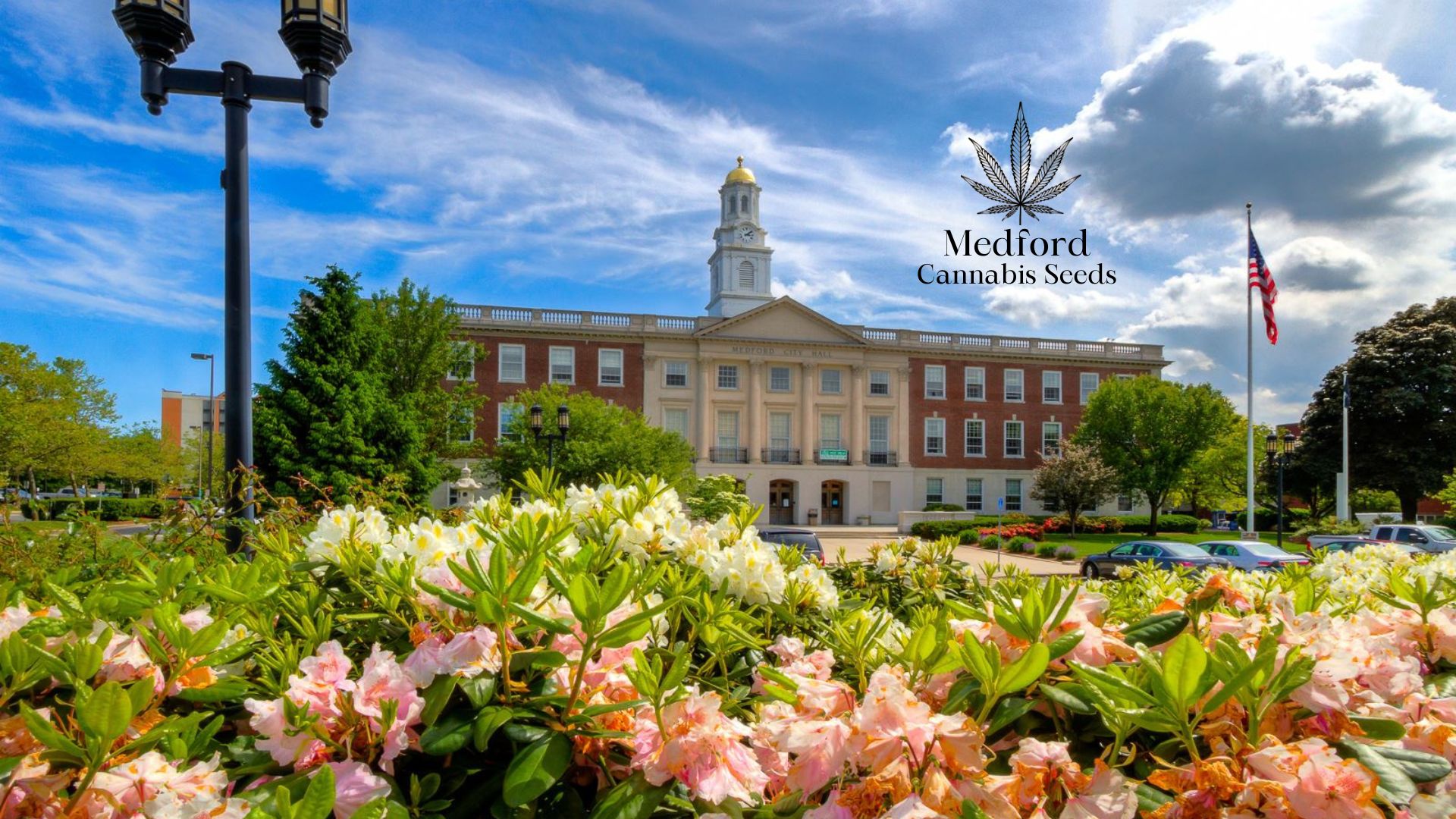 Buy Cannabis Seeds in Medford, Massachusetts – Royal King Seeds ...