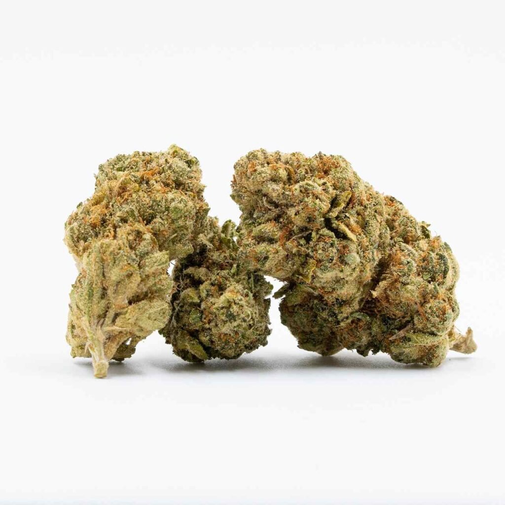 Badazz Cheese Strain Cannabis Seeds – Royal King Seeds