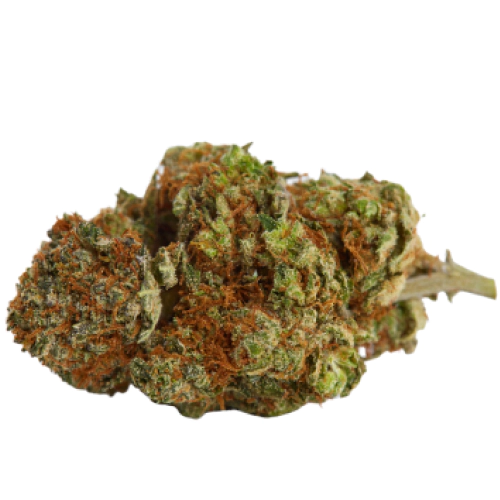 Blue Crack Strain Cannabis Seeds – Royal King Seeds - Feminized ...