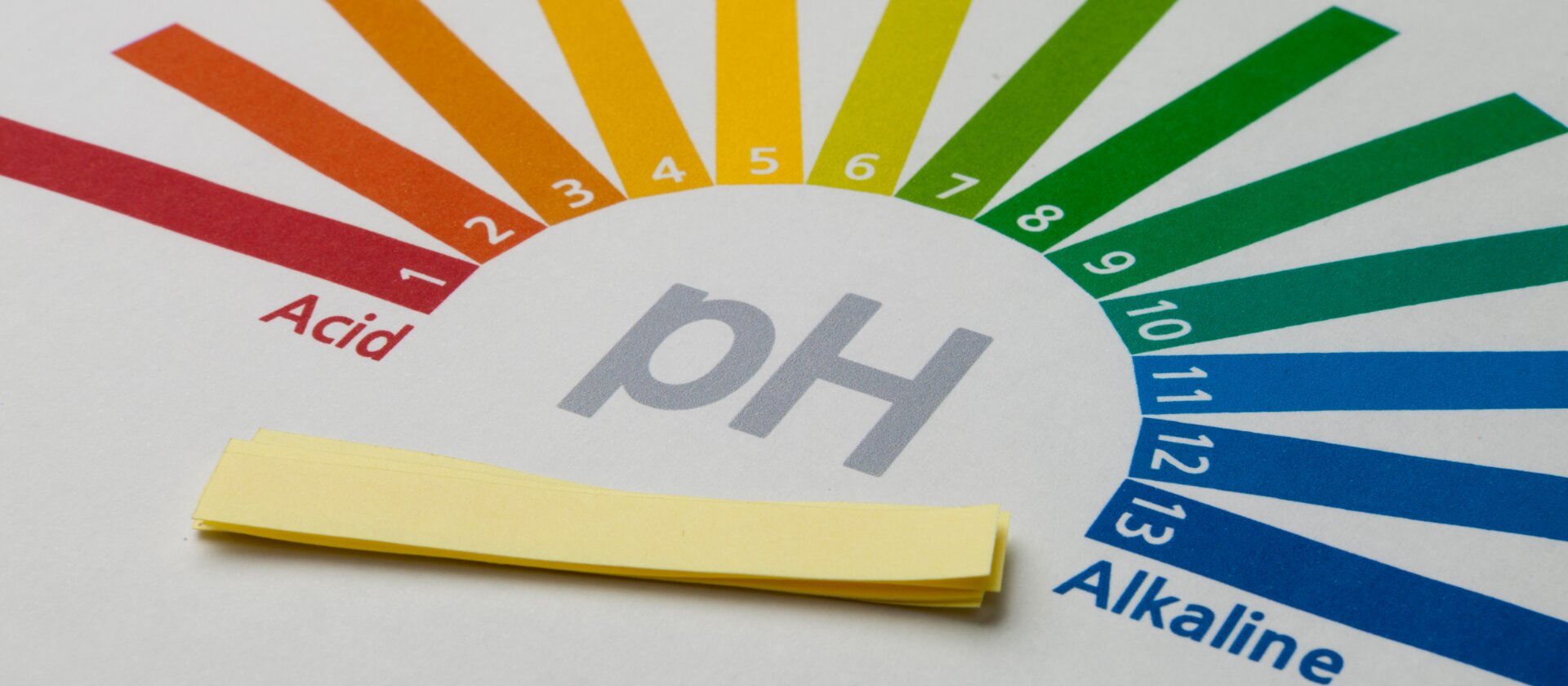 Essentials of pH for Cannabis Cultivation – Royal King Seeds ...