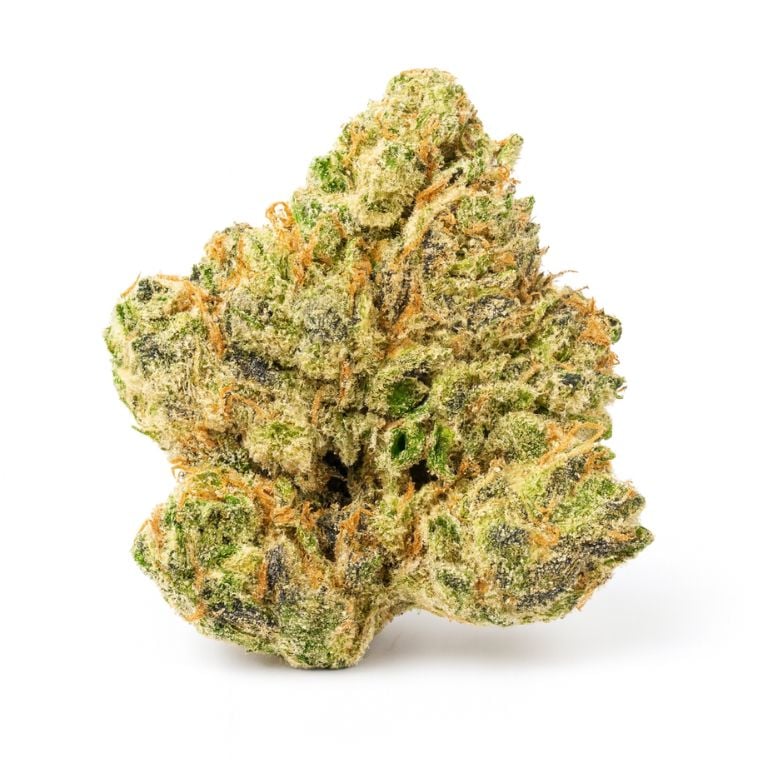 Jungle Cookie Cannabis Seeds | Potent Dessert-Inspired Strain