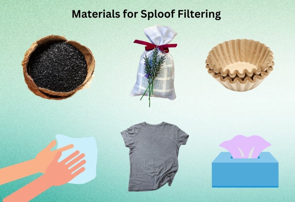 Sploof – Royal King Seeds