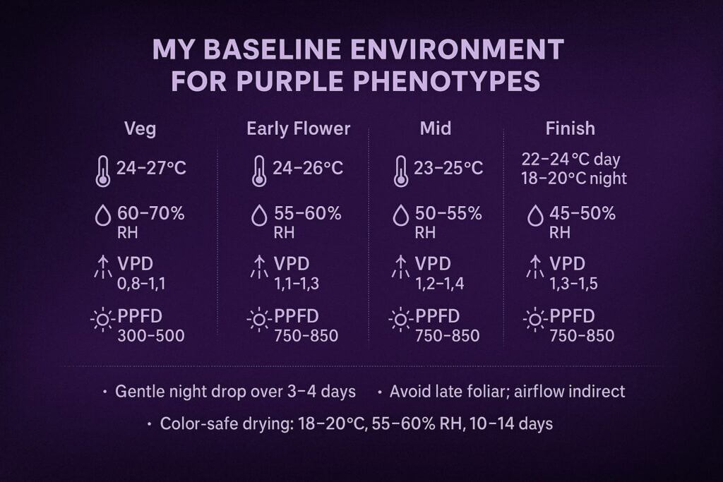 Anthocyanin All-Stars: Purple Cannabis Seeds Guide