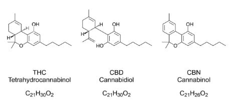 Does Marijuana Cause Cancer – Royal King Seeds