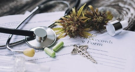 Green Door Kush - Strain Information – Royal King Seeds