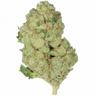 Headband - Strain Information – Royal King Seeds