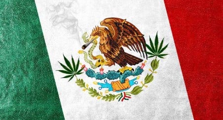 Is Marijuana Illegal In Mexico – Royal King Seeds