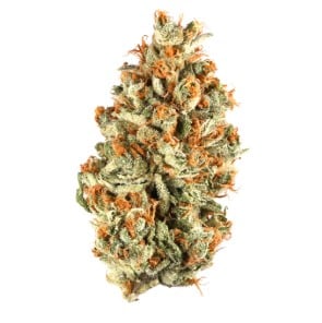 Kosher Tangie - Strain Information – Royal King Seeds - Feminized ...