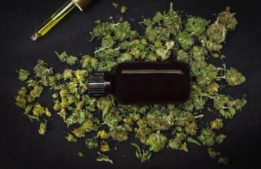 Lemon Diesel - Strain Information – Royal King Seeds