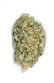 Lemon G - Strain Information – Royal King Seeds