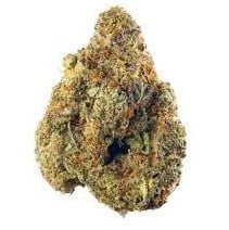 Lemon Tree - Strain Information – Royal King Seeds