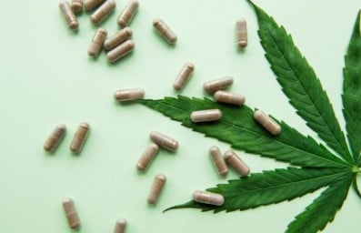 OG Chem - Strain Information – Royal King Seeds