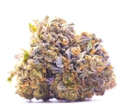 Pink Death Star - Strain Information – Royal King Seeds