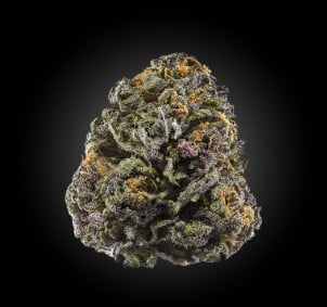 Purple Candy - Strain Information – Royal King Seeds