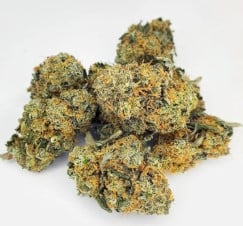 Strains With Legendary Parent Genetics – Royal King Seeds