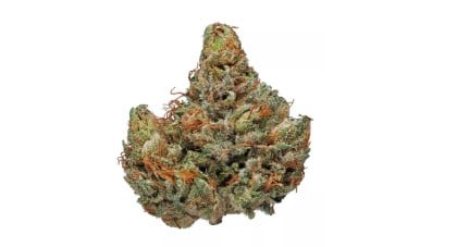 What Is Kush – Royal King Seeds
